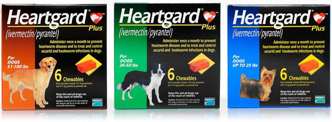 Heartgard Plus Chew Tabs Dogs, 26-50 Lbs, Green, Dose, 02/03/2024